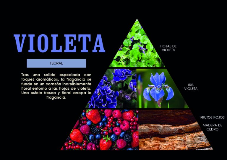 Fragancia Violeta – Ruta de la cera